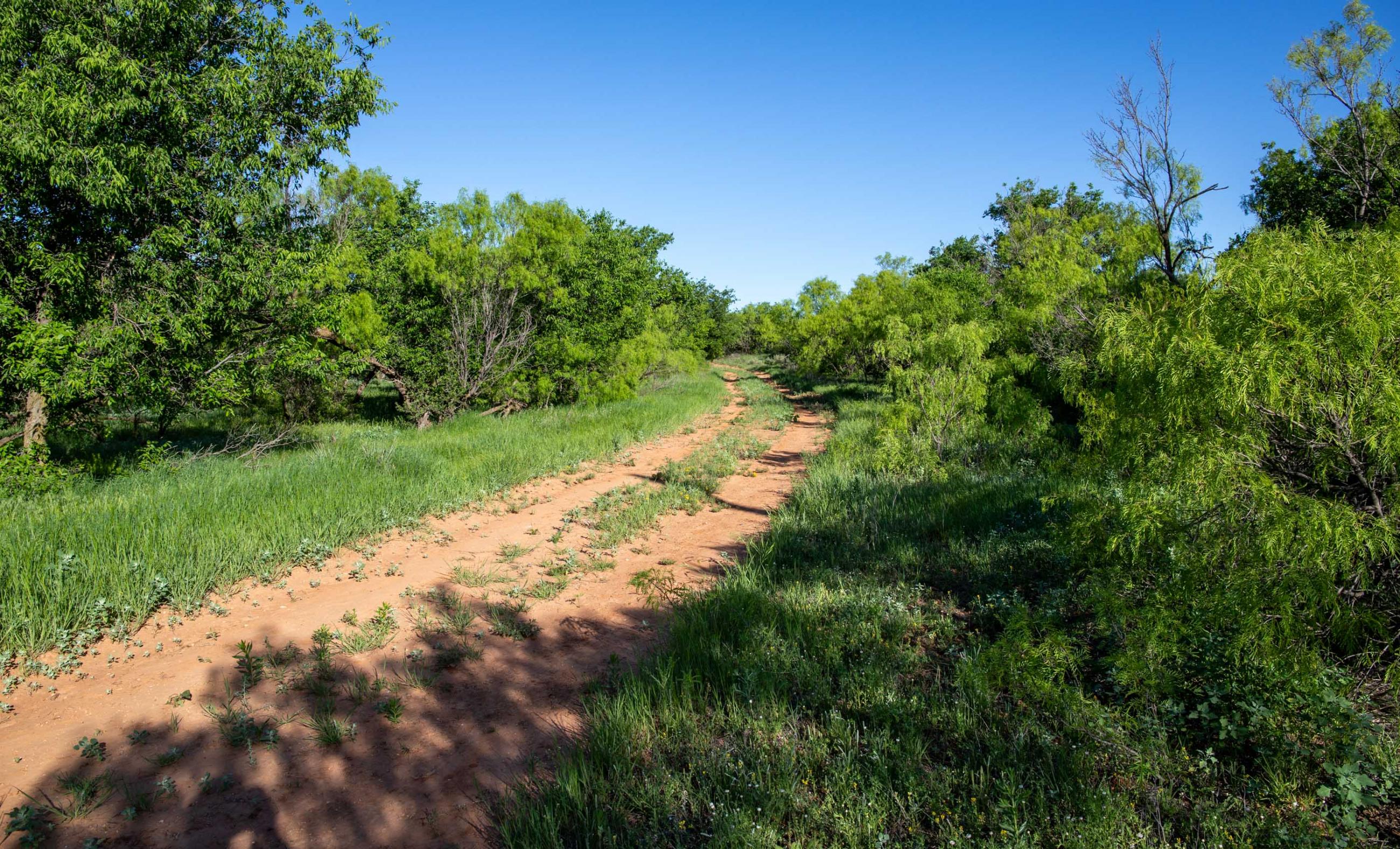 408.11 acre Hunting and Cattle Ranch | Chas S. Middleton